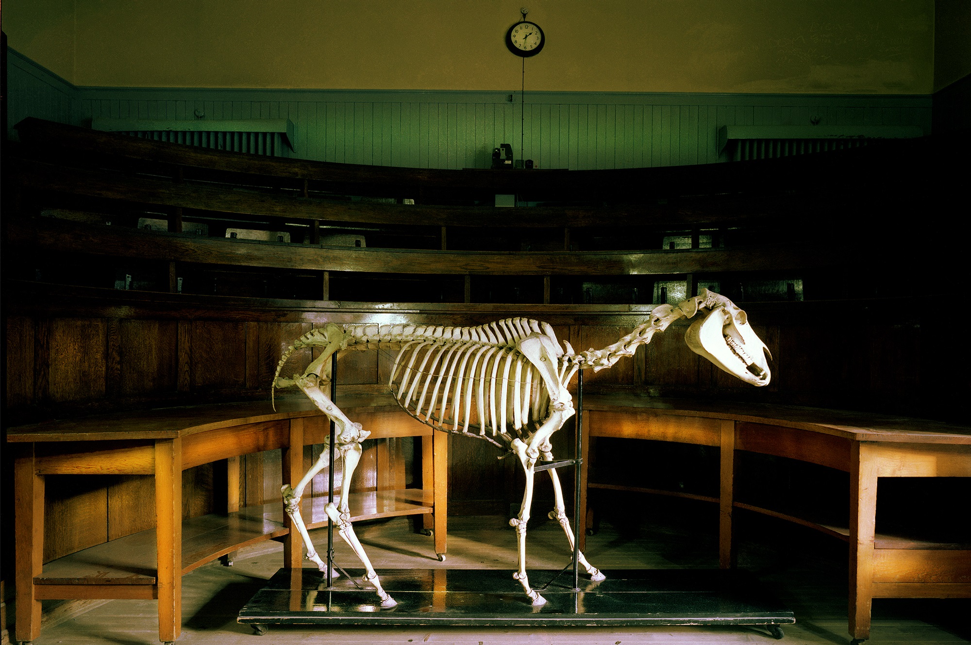 Edinburgh: A Lost World by Ron O’Donnell - Spectrum